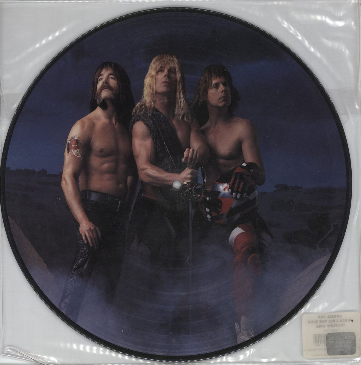 Spinal Tap Break Like The Wind - EX US Picture disc LP — RareVinyl.com