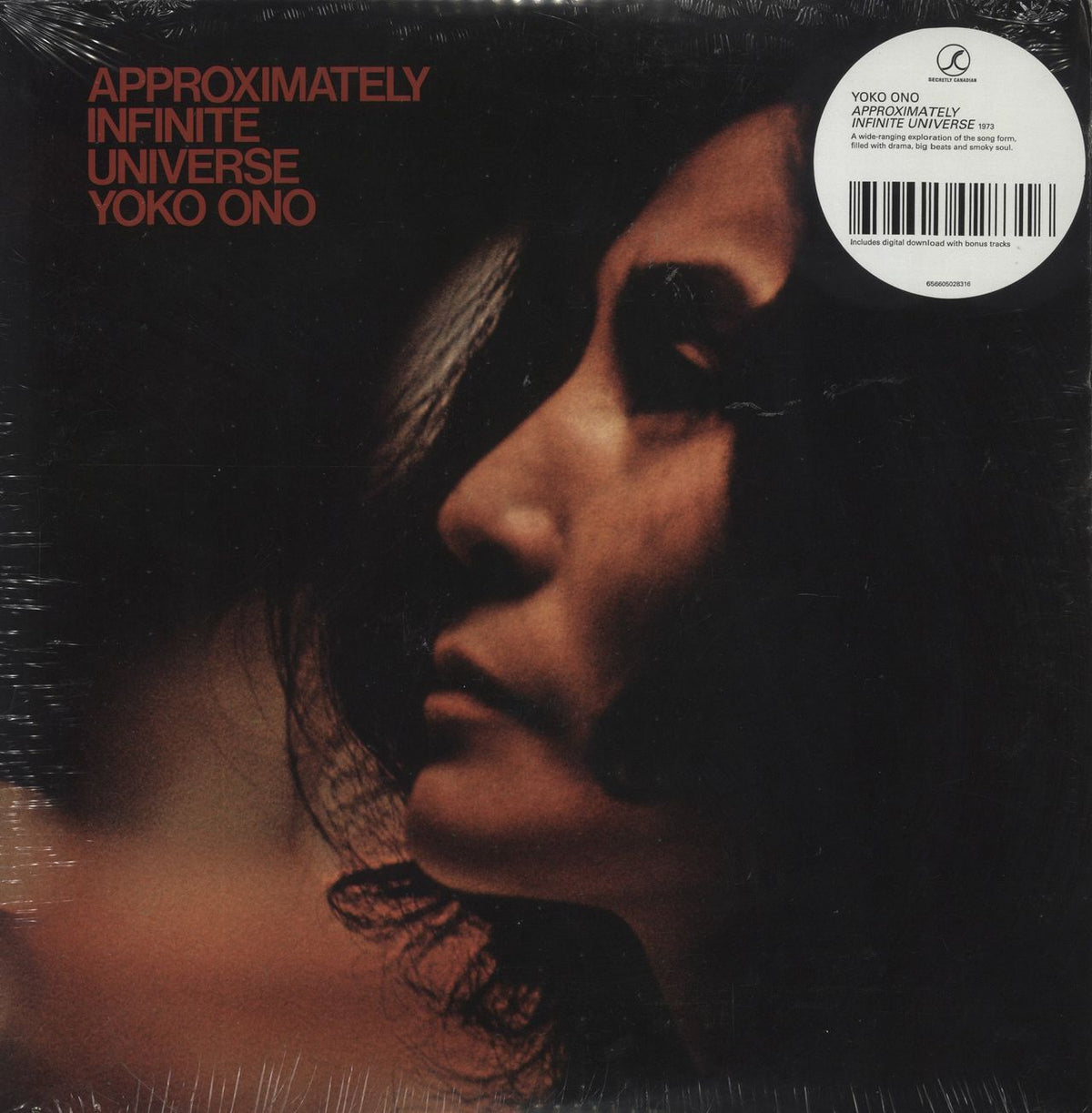 Yoko Ono Approximately Infinite Universe US 2-LP vinyl set — RareVinyl.com