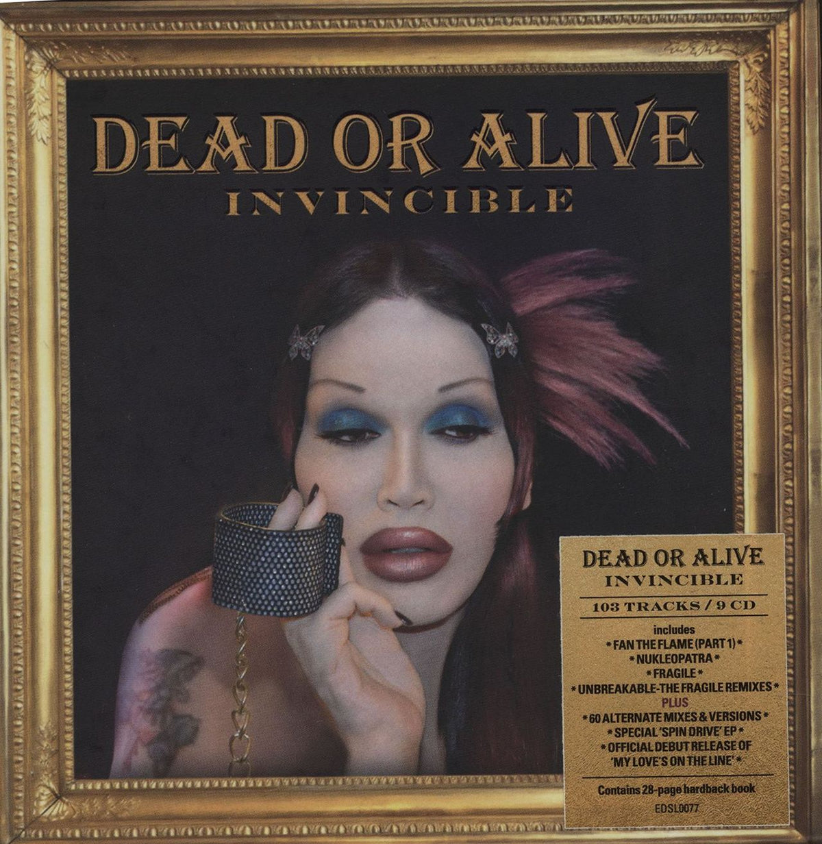 Dead Or Alive Invincible UK Cd album box set — RareVinyl.com