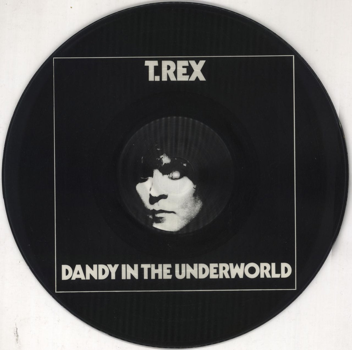 T-Rex / Tyrannosaurus Rex Dandy In The Underworld UK Picture disc LP — RareVinyl.com
